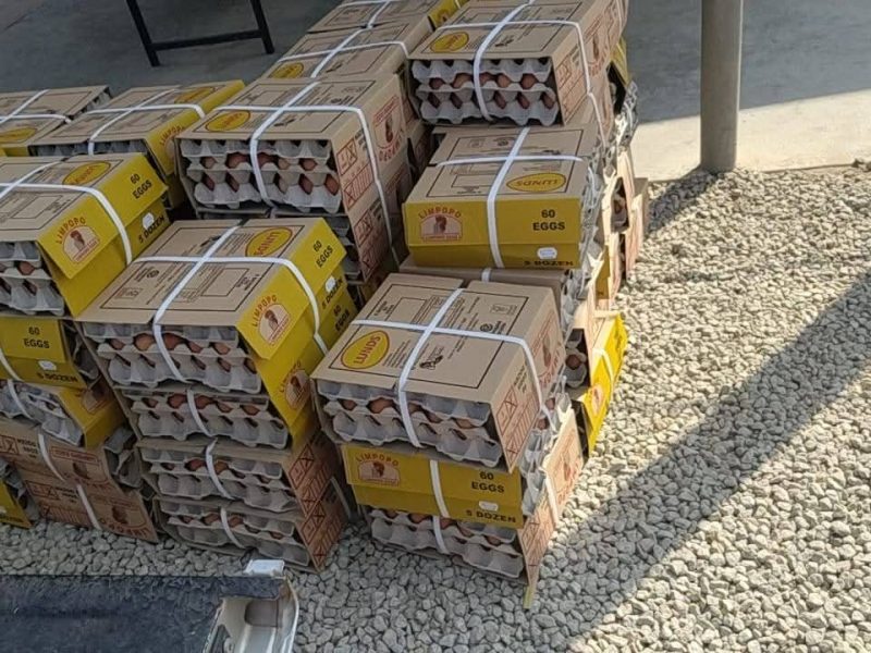 Silidi chicken farm house - Boboza