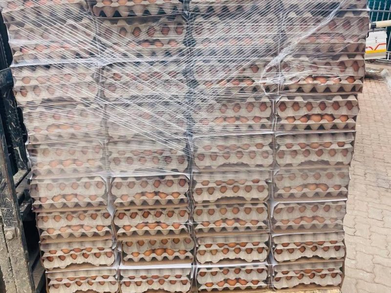 Silidi chicken farm house - Boboza