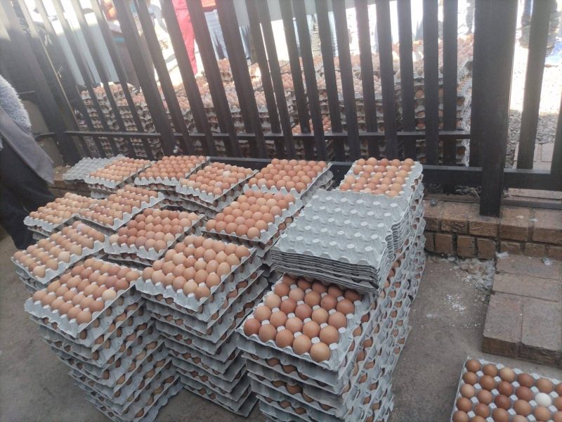 Silidi chicken farm house - Boboza